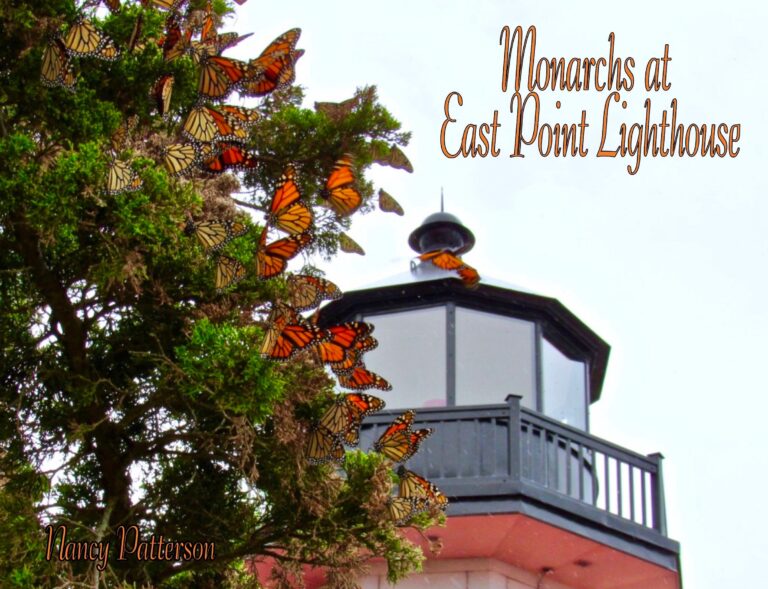 East Point Lighthouse | Cumberland County, New Jersey